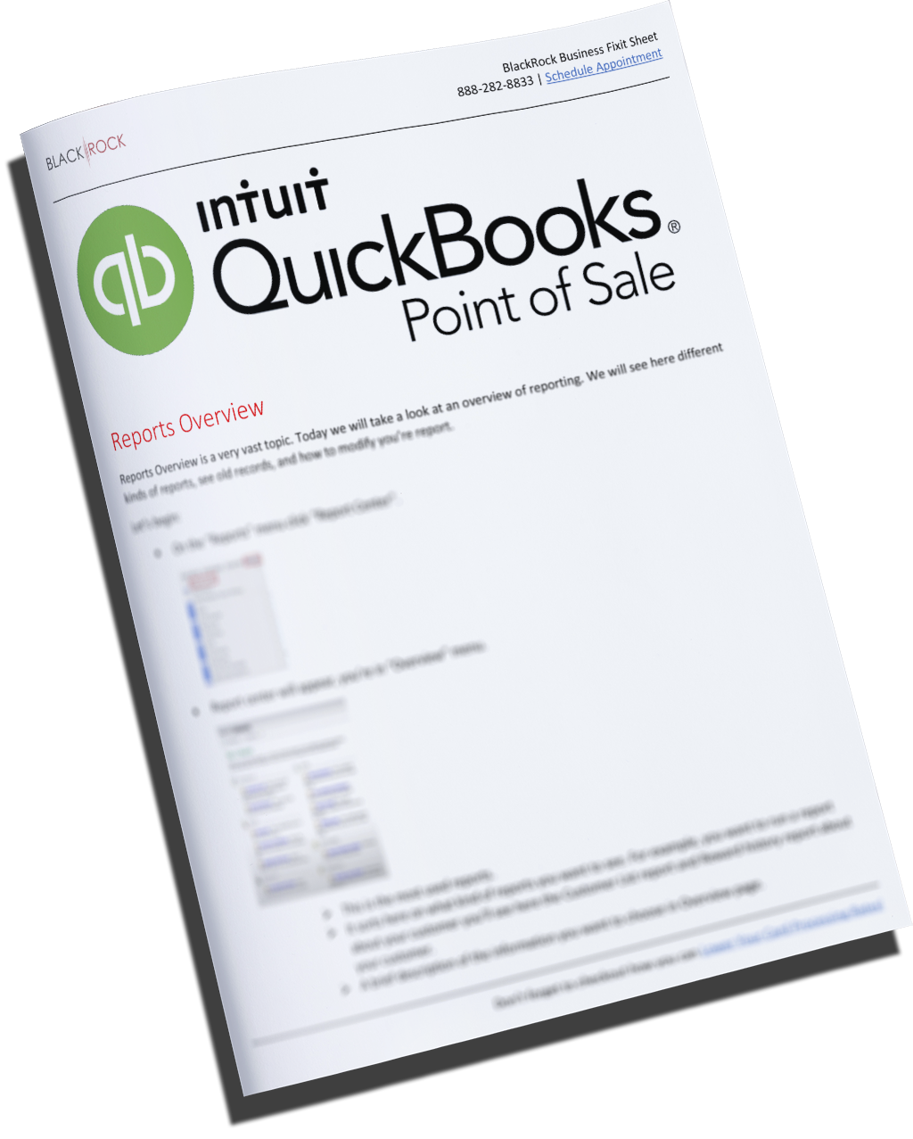 QuickBooks POS Reports Overview BlackRock POS